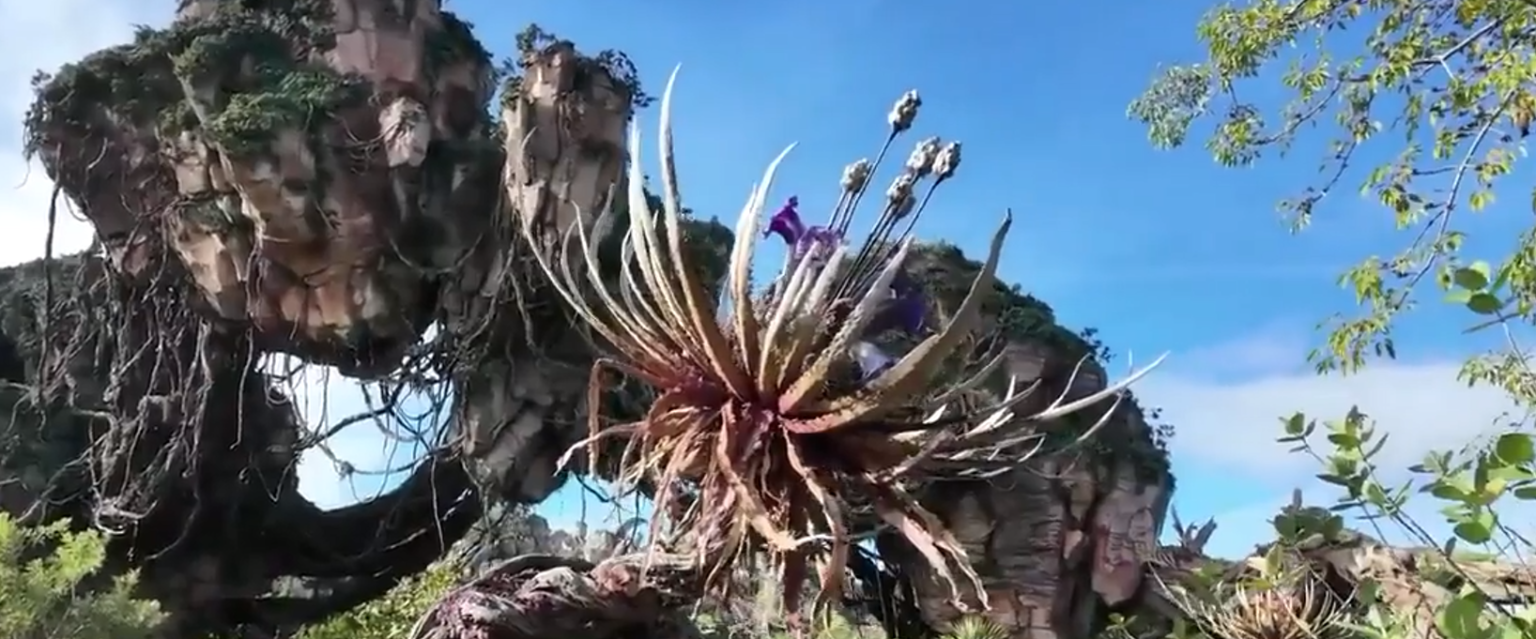 2026 Guide: Avatar Fire and Ash at Disney’s Animal Kingdom